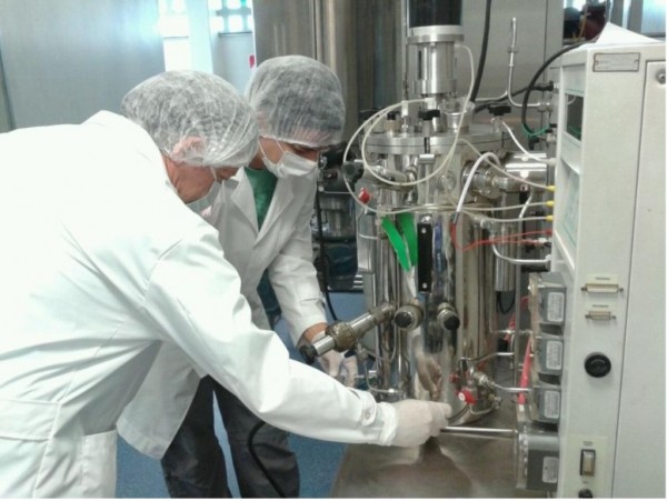 PROIMI (CONICET) - Planta Piloto de Procesos Industriales ...